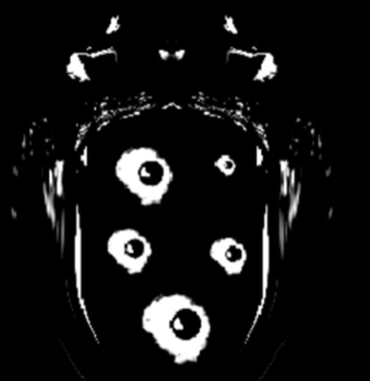 The phase 203 (JBug) image should be brightened | Fandom