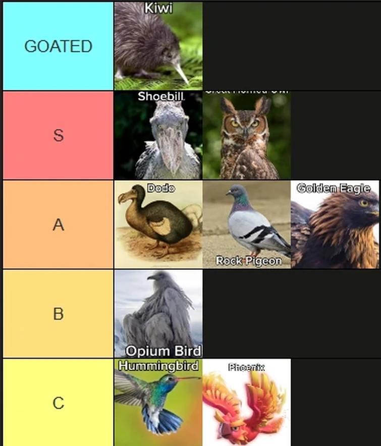 bird game 3 tier list + reasoning | Fandom