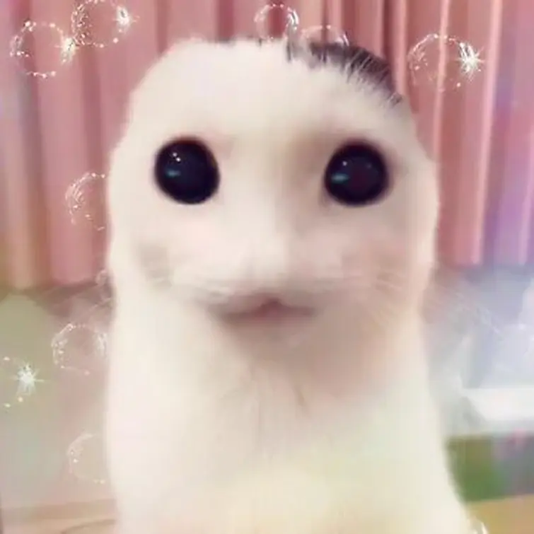 zandik must know....should i trade a nemni for a plume | Fandom