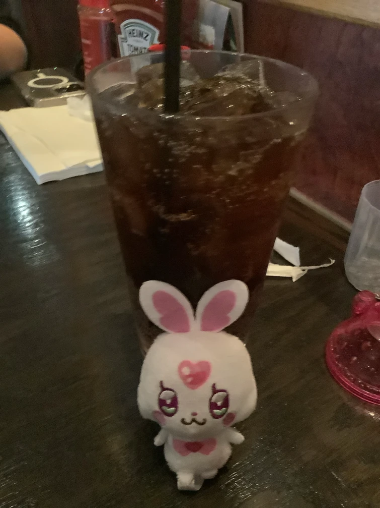 Discuss Everything About Pretty Cure Wiki | Fandom