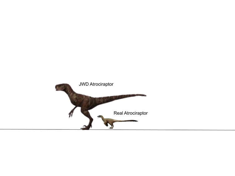 is the atrociraptor real? | Fandom