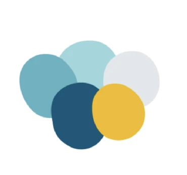 Which color pallet for the wiki’s wof dragon? (Seawing-Hivewing) | Fandom