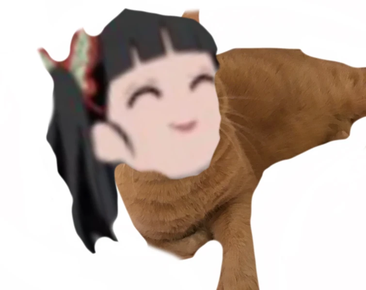 My cat is now kanao | Fandom