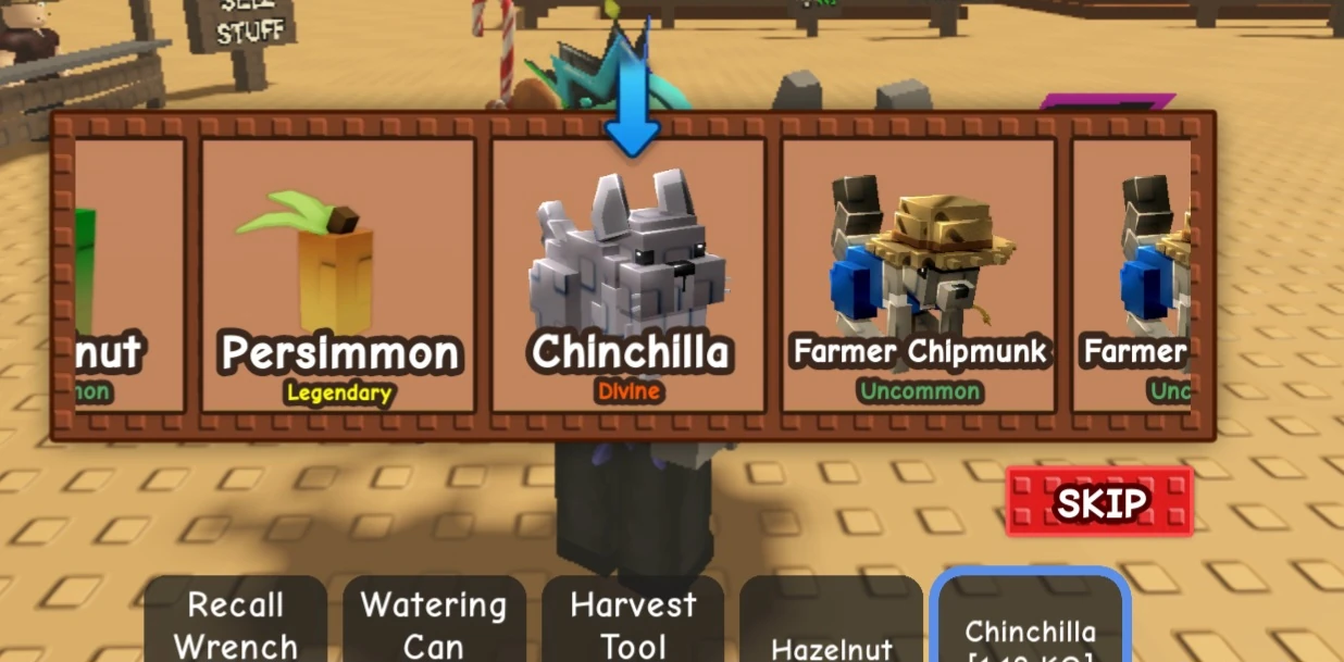 Chinchilling | Fandom