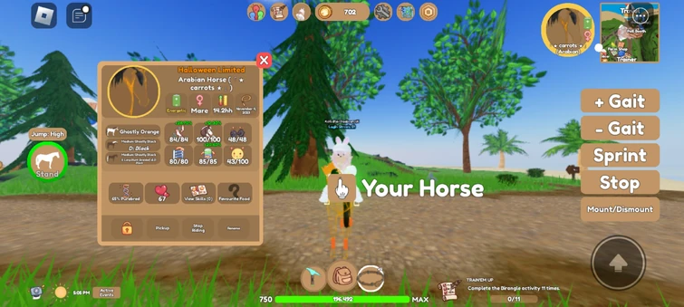 Discuss Everything About Wild Horse Islands Wiki | Fandom