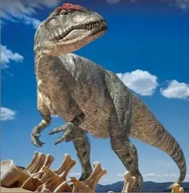 Discuss Everything About Dinopedia | Fandom