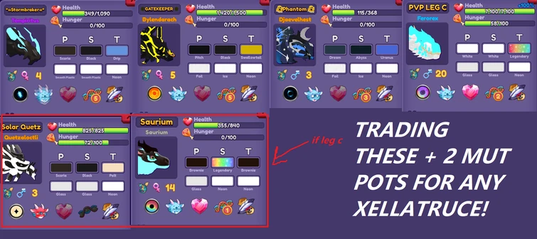 Looking for ANY NM Xellatruce!! | Fandom