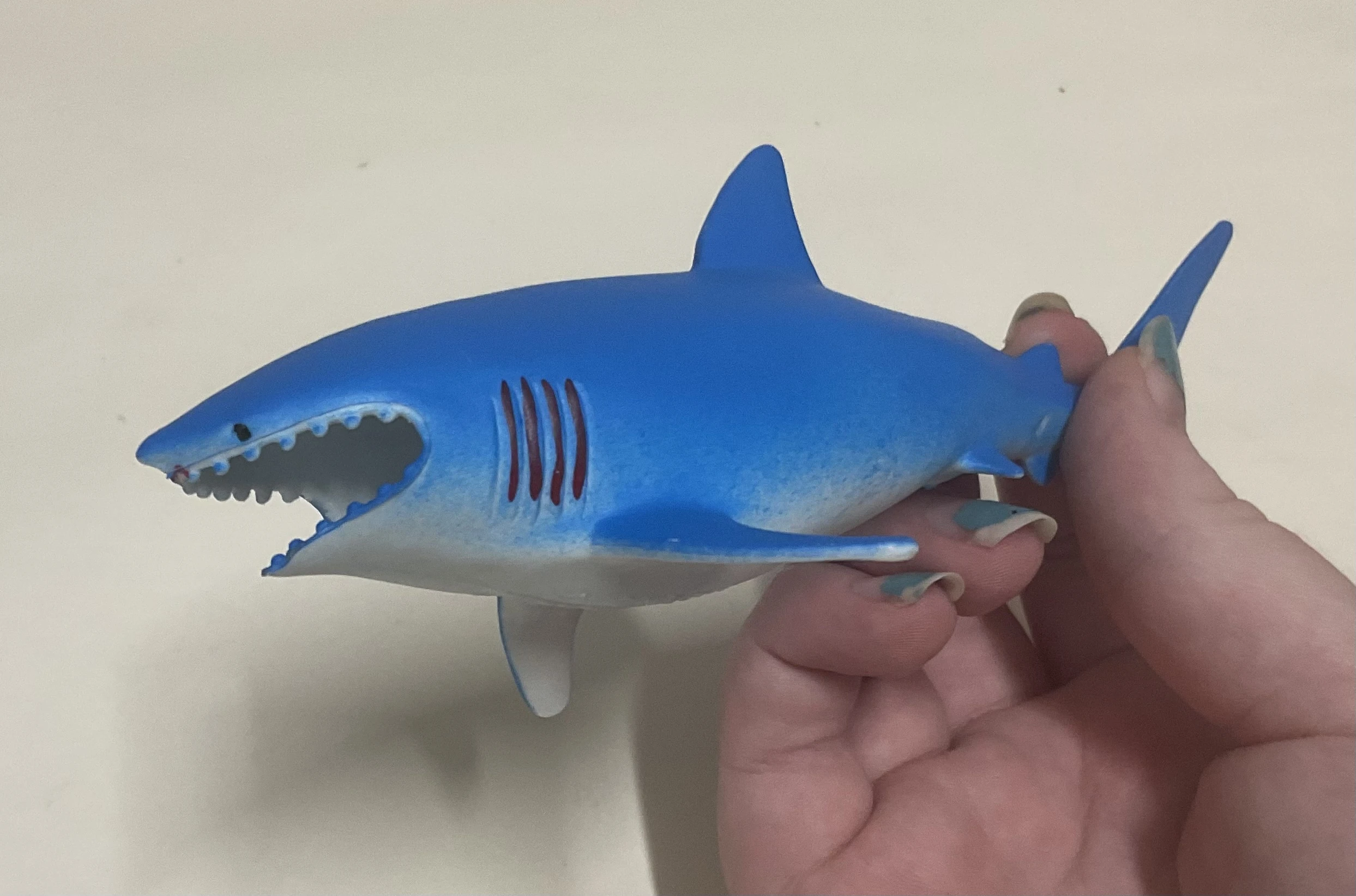 I got a shark :> | Fandom