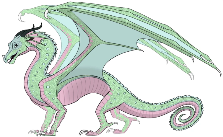 RainWing! For my Winglet! | Fandom