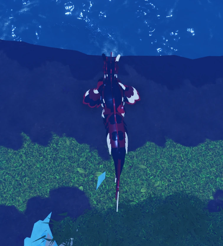 Koi fish :] | Fandom