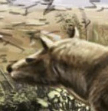 Discuss Everything About Dinopedia | Fandom