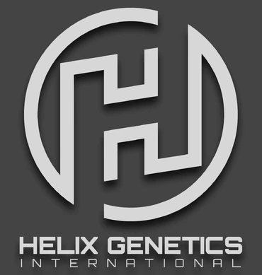 Hi, Graphic designer here, and I made some concept logos for Helix ...
