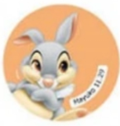Thumper in a Tokyo Disneyland badge | Fandom