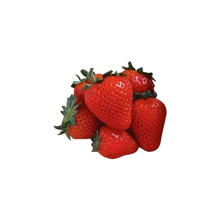 Show me all your Strawberry Themed Dragons! | Fandom