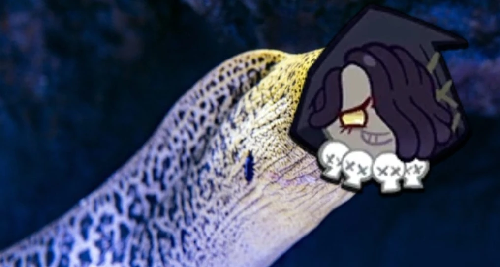 New fish to be added to my collection of fish | Fandom