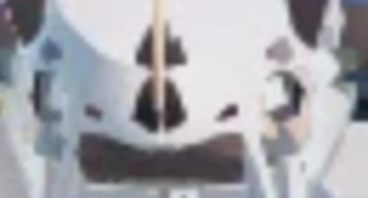 Looking for Koini! | Fandom