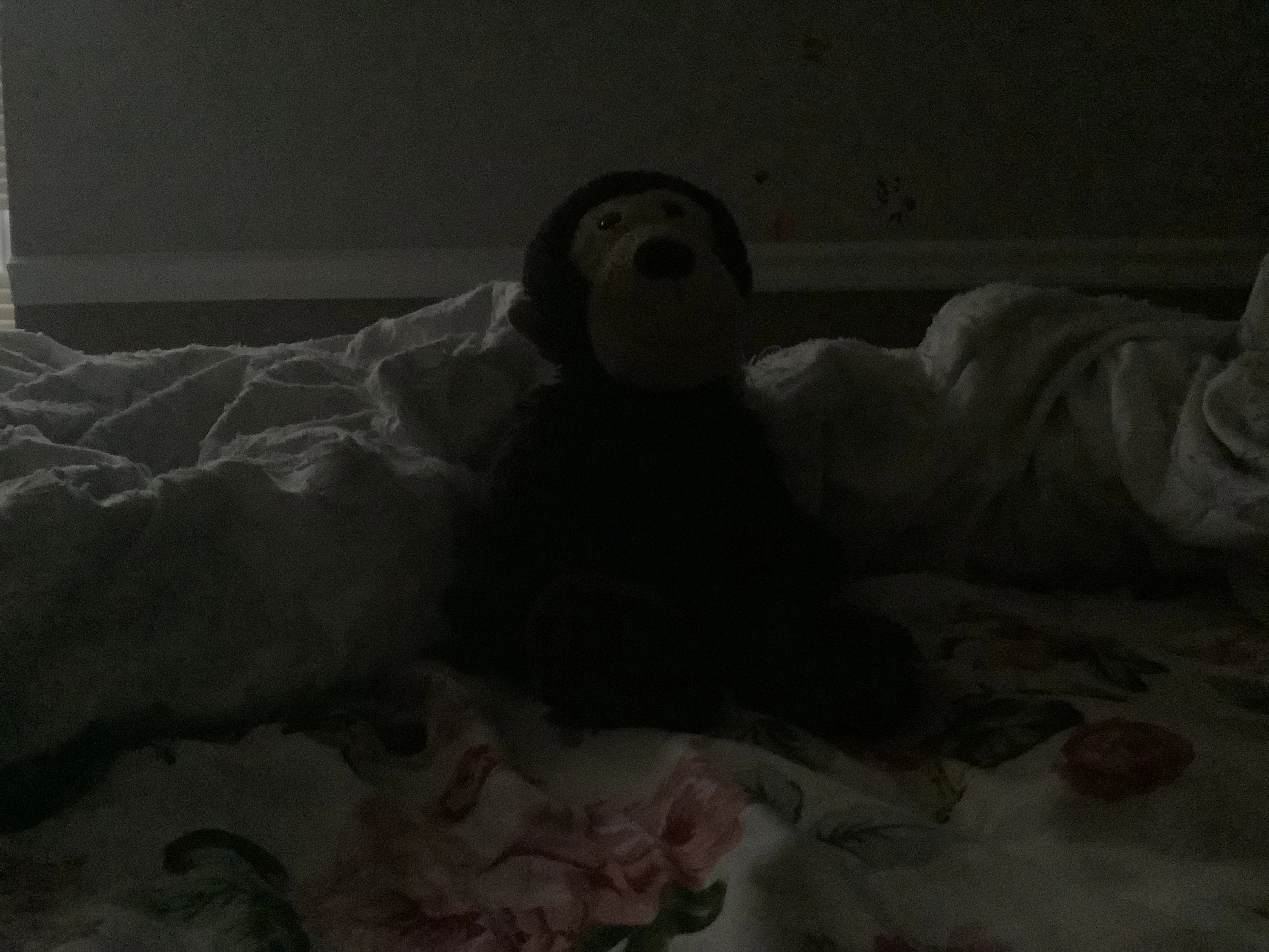 bongo the monkey 1 | Fandom