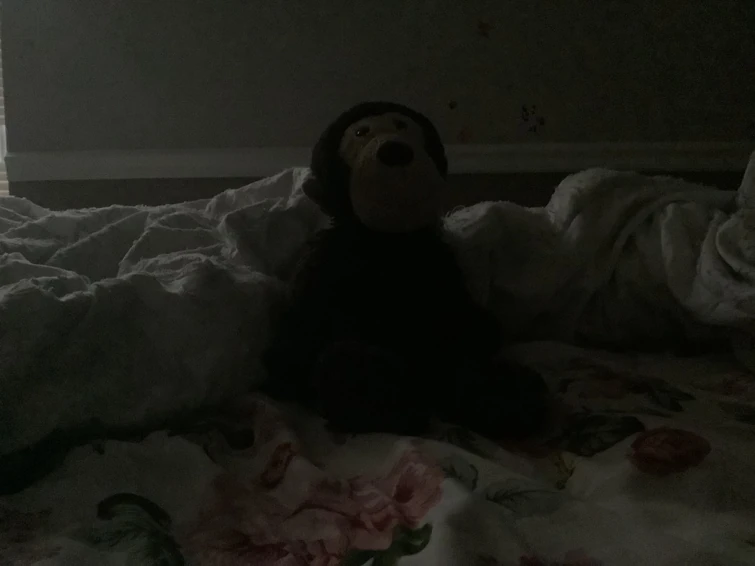 bongo the monkey 1 | Fandom