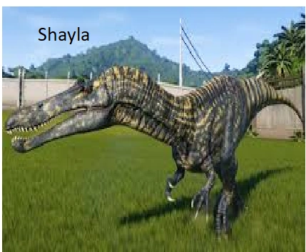 Some Of My Few OCS I Created | Fandom