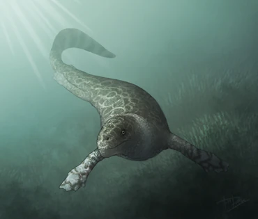 Discuss Everything About Dinopedia | Fandom