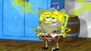 Discuss Everything About ScumBob Wiki | Fandom