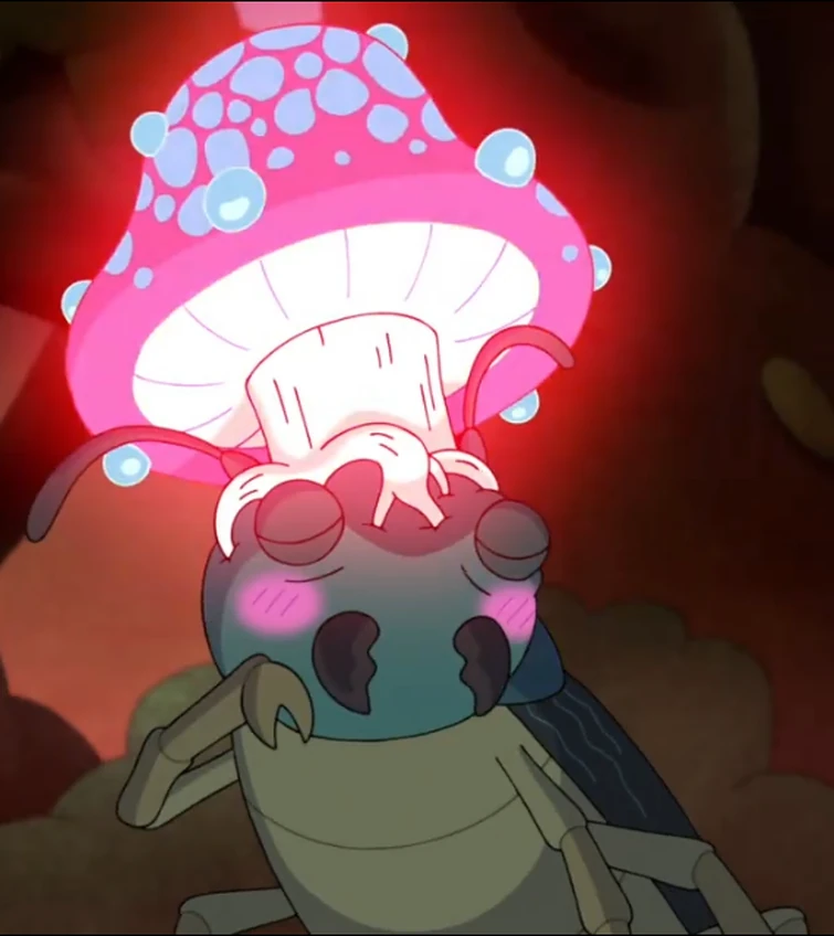 Discuss Everything About Amphibia Wiki | Fandom