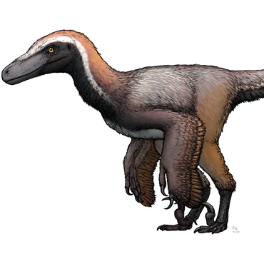Discuss Everything About Dinopedia | Fandom