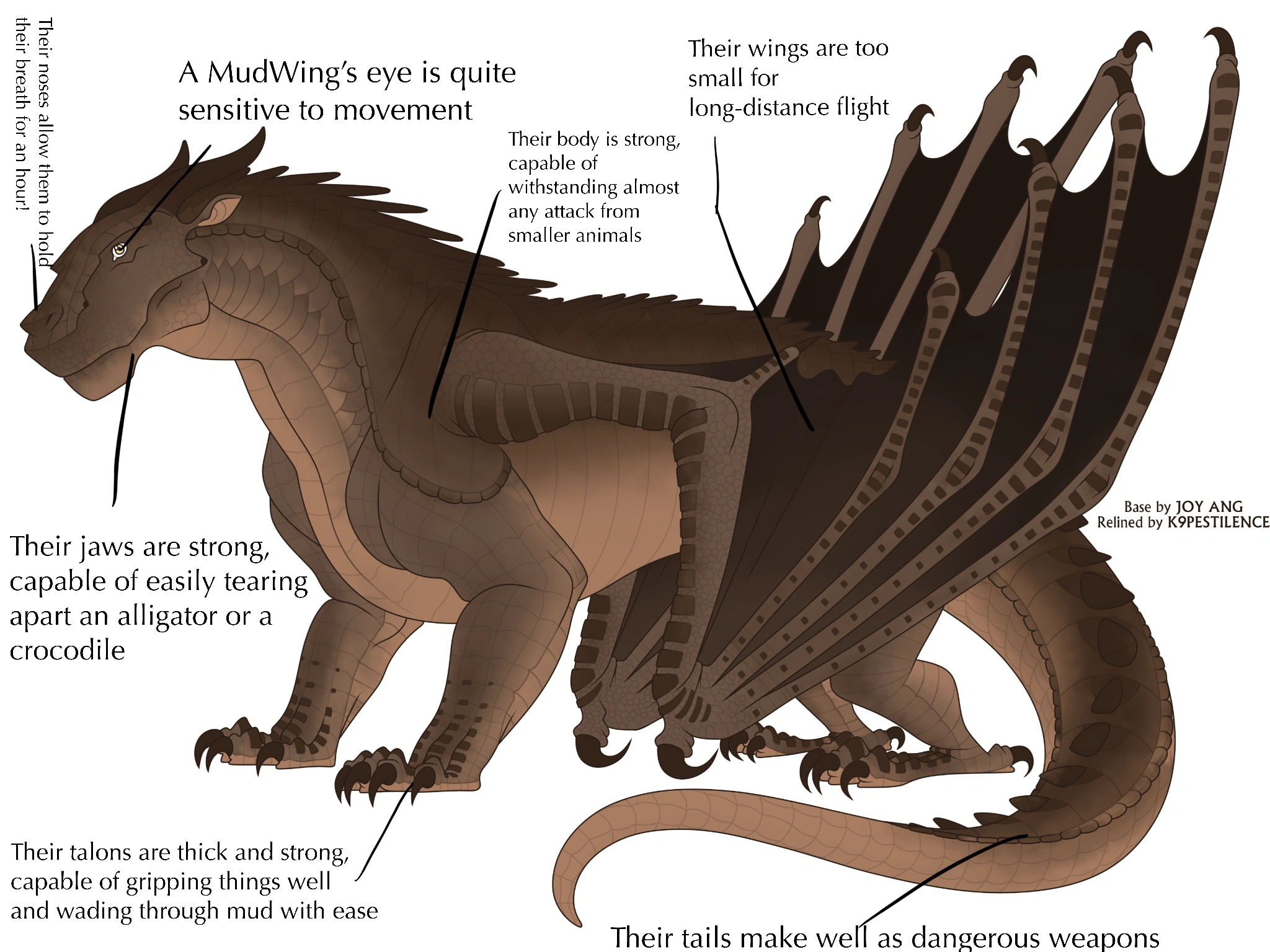Salamander’s Study of Dragons 1: MudWings | Fandom