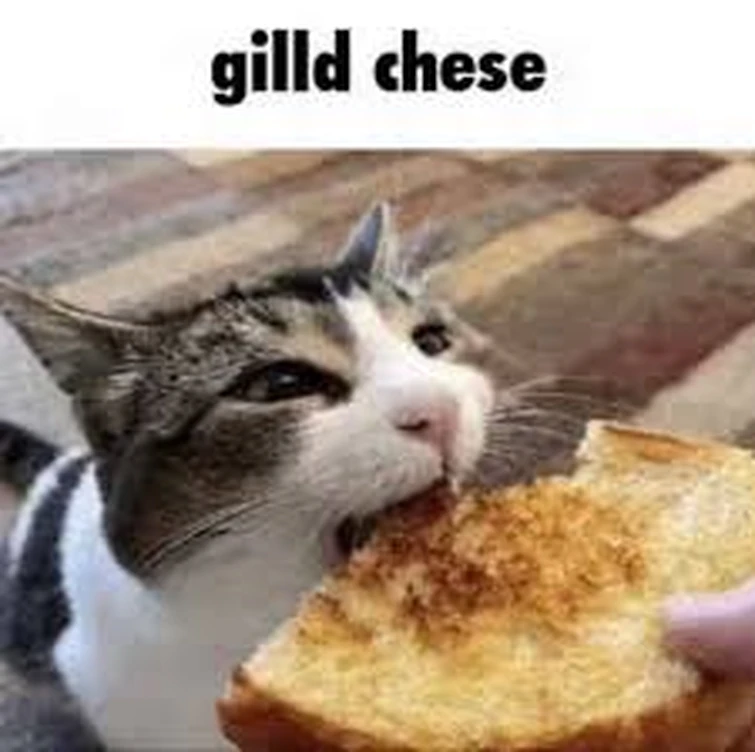 Gilld cheese | Fandom