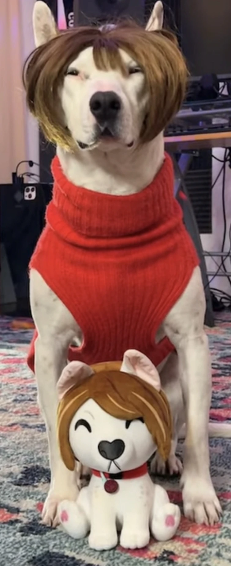 Meiko dog | Fandom