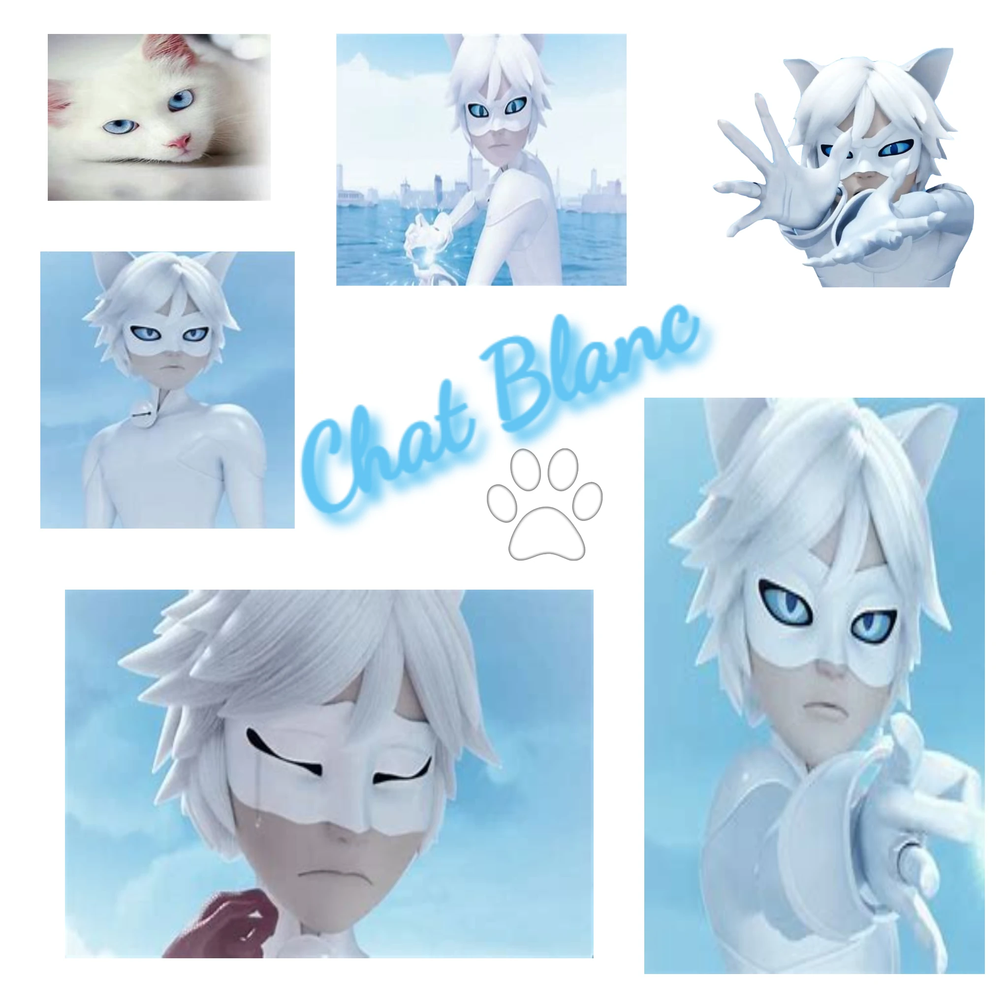 Chat Blanc edit | Fandom