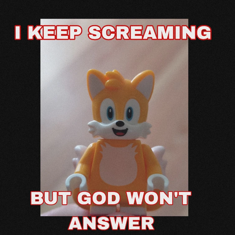 POV: I rizz you up and give you the SMG4 bootleg plush will you take it ...