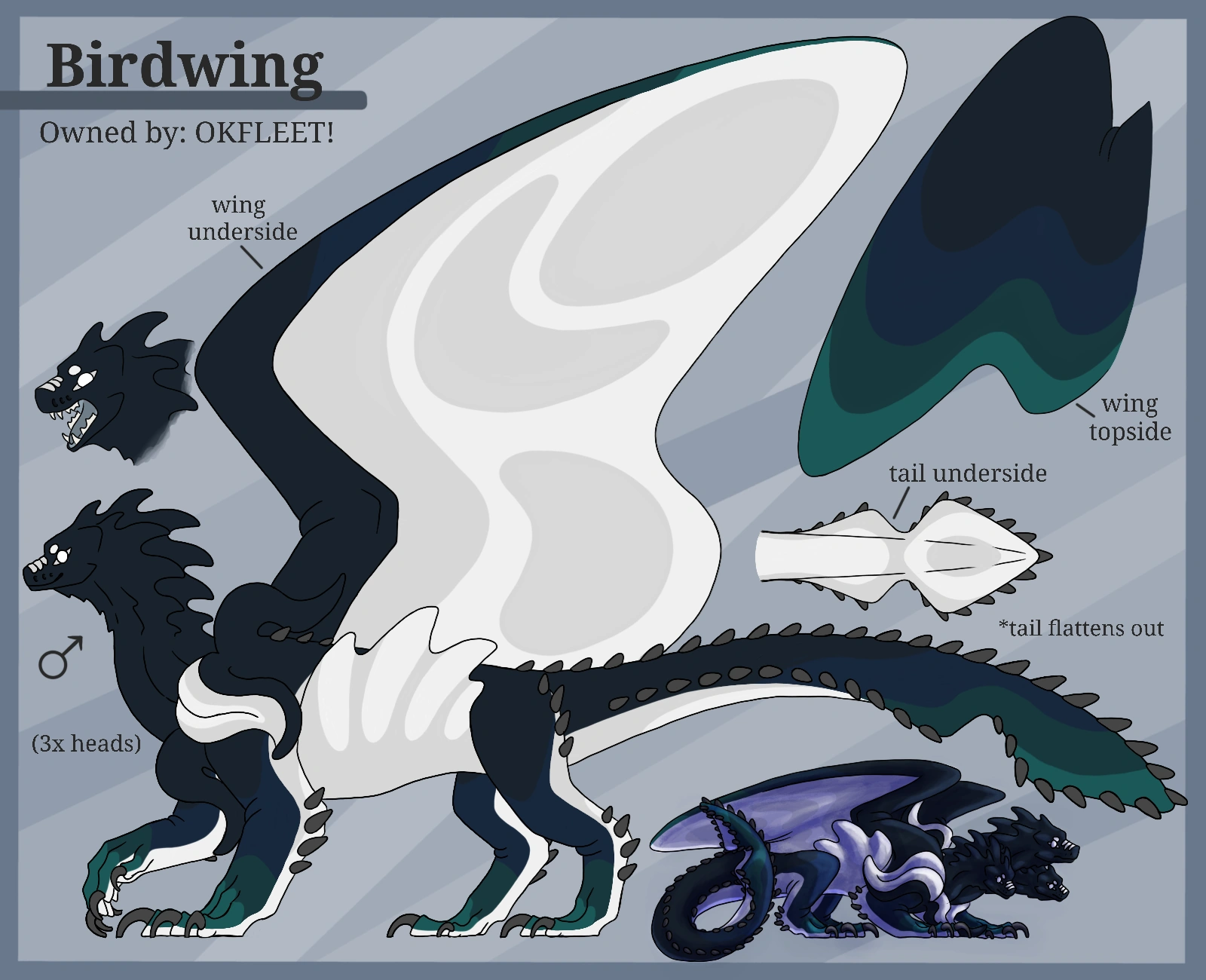 Birdwing's finished reference sheet | Fandom