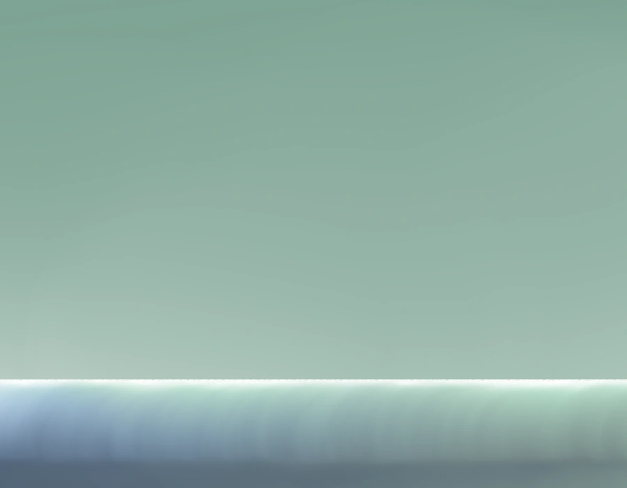 *The criminal of a seagull* | Fandom