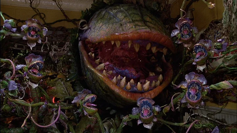 ...give me your worst "hear me out" | Fandom