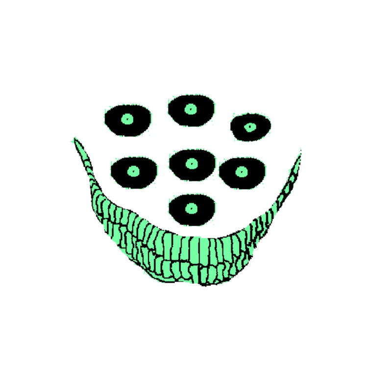 Discuss Everything About Rooms: Re-Established Wiki | Fandom