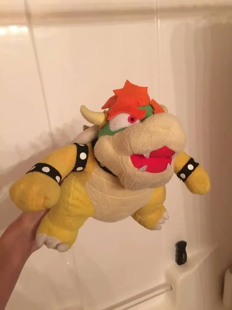 Where Is Logan's Old Bowser Plush? | Fandom