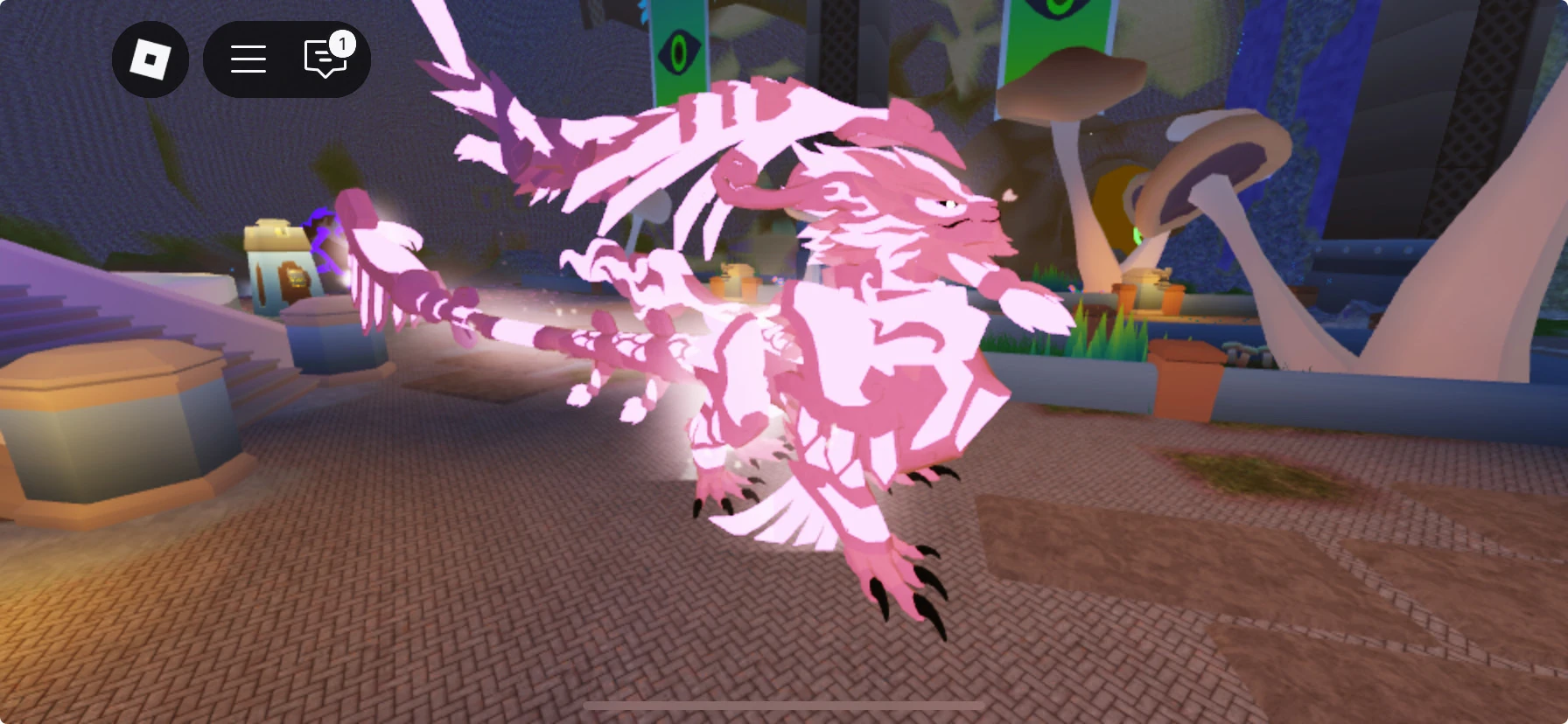 Meet Juno ^^ (shes my 8th monkey in the family now) | Fandom