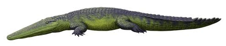 Dinopedia Prehistoric Park Episode 3: The Sailed Lizard Mess | Fandom