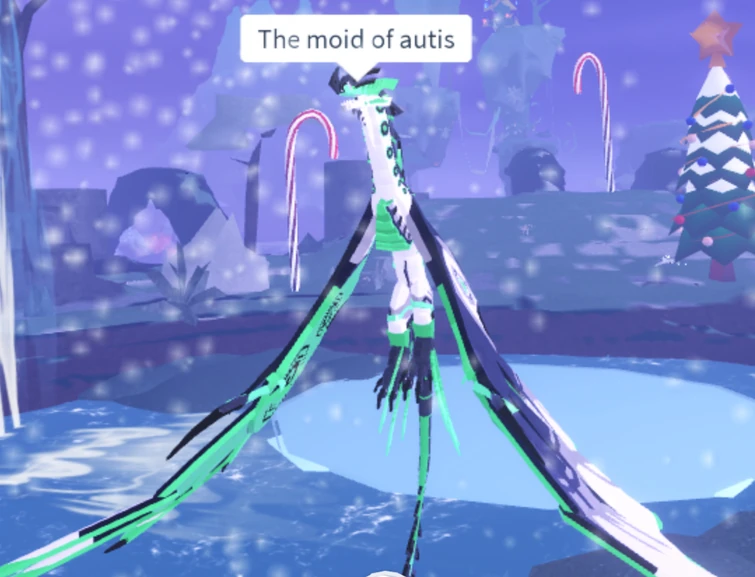 Goofy pics of Orca the Kebuku | Fandom