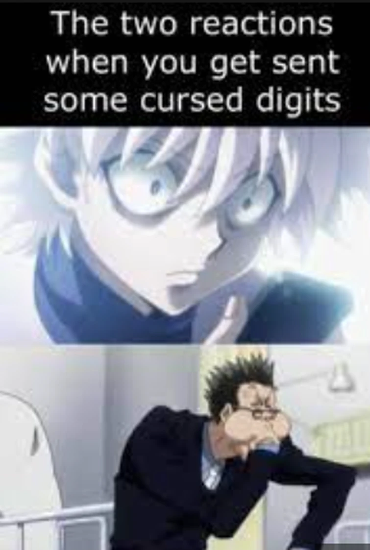 HxH memes | Fandom