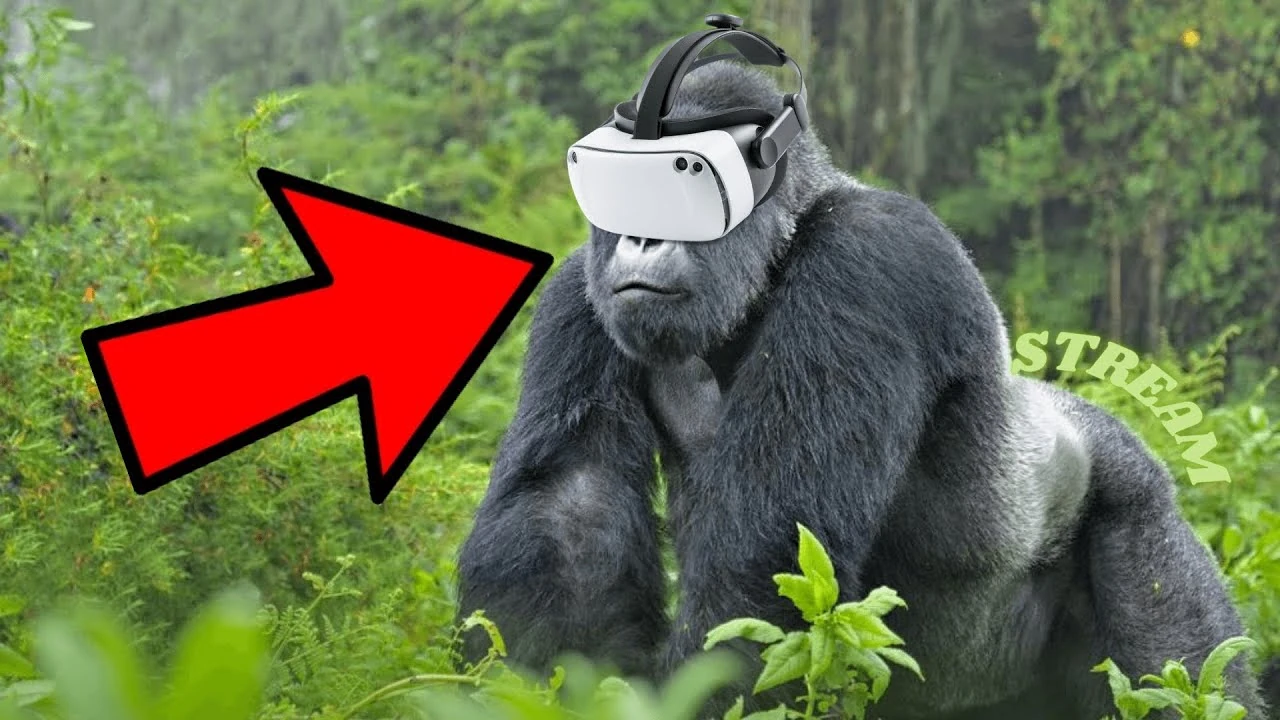 bear alpha | Fandom