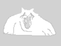 blob abomination cat | Fandom