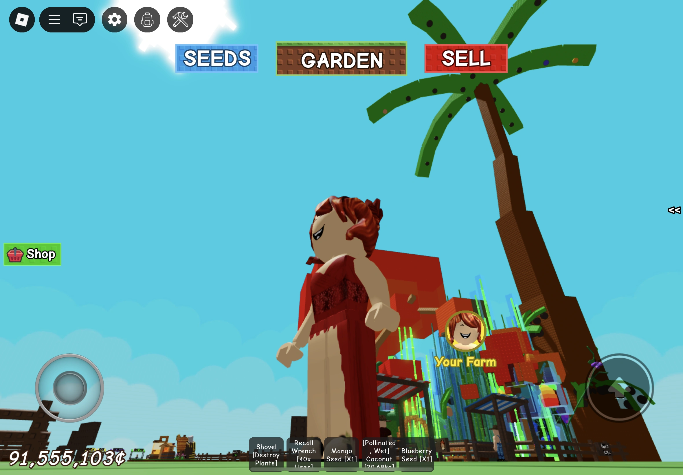 really big coconut tree | Fandom