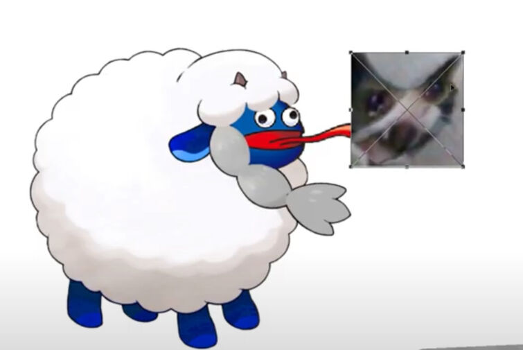 Failboat what have you done! | Fandom