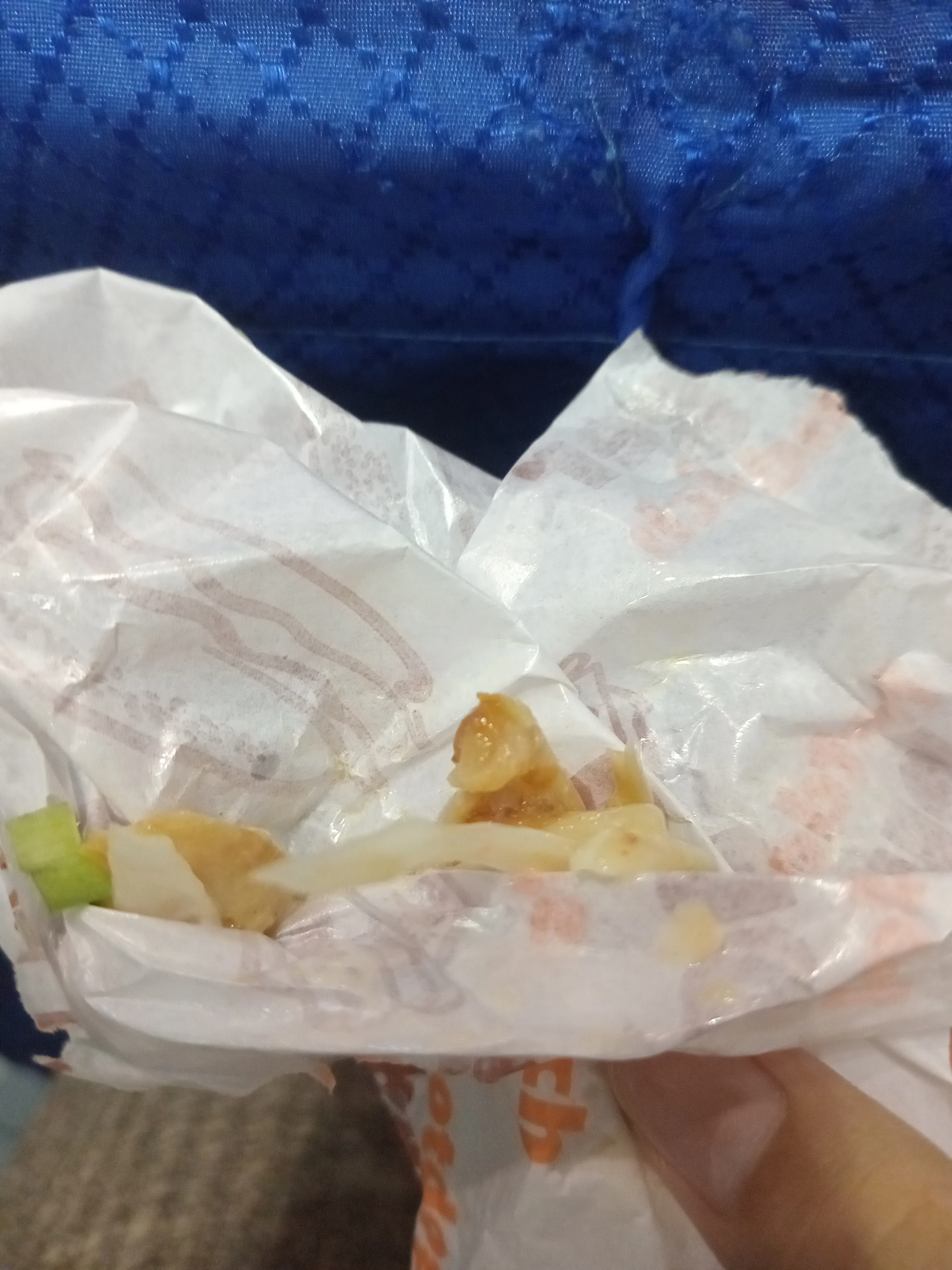 that shawarma is tasty as hell | Fandom