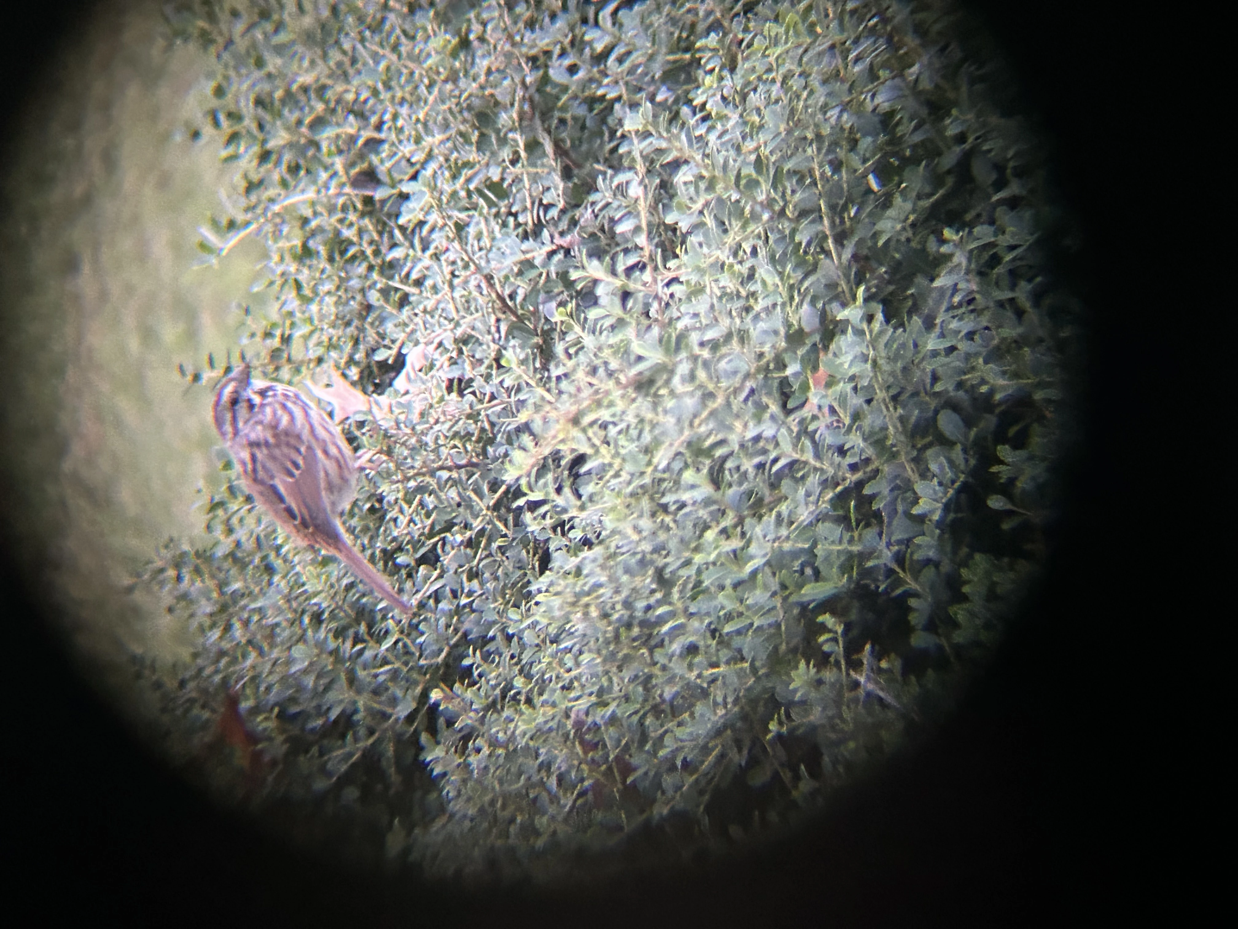 Things I like about cos | Fandom