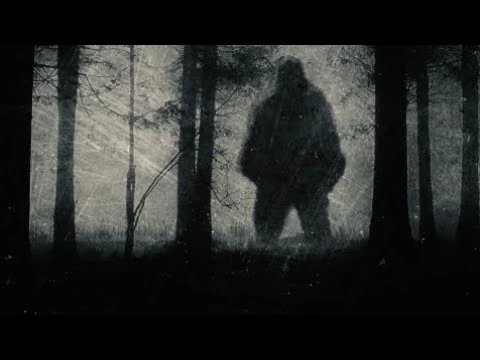 King Kong Analog Horror (P.2) | Fandom