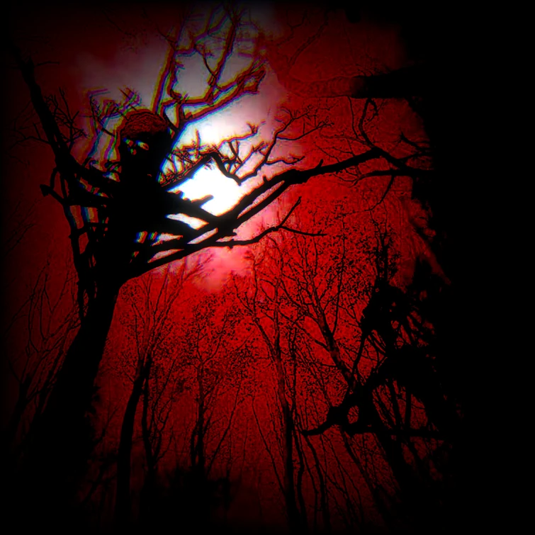 Do NOT scroll below this post… | Fandom