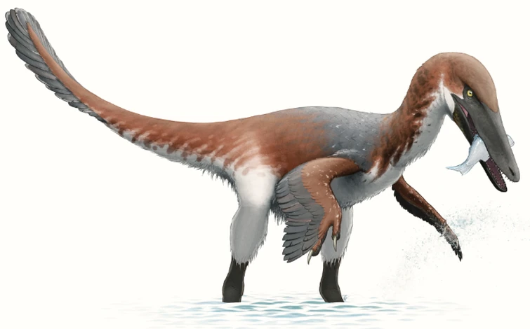 Dinosaur smash or pass: Austroraptor | Fandom